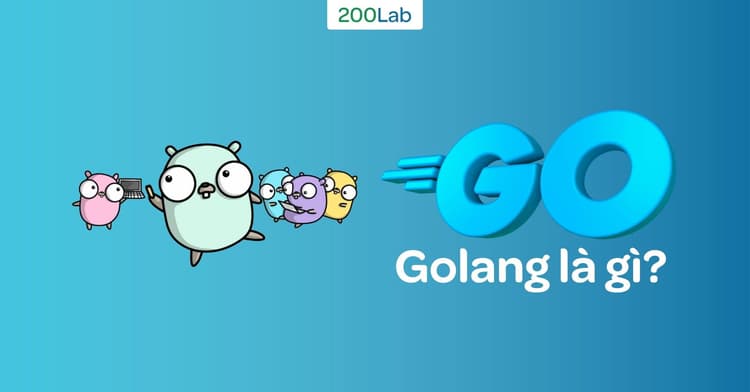 Golang là gì? Backend Developer có nên học Golang | 200Lab Blog